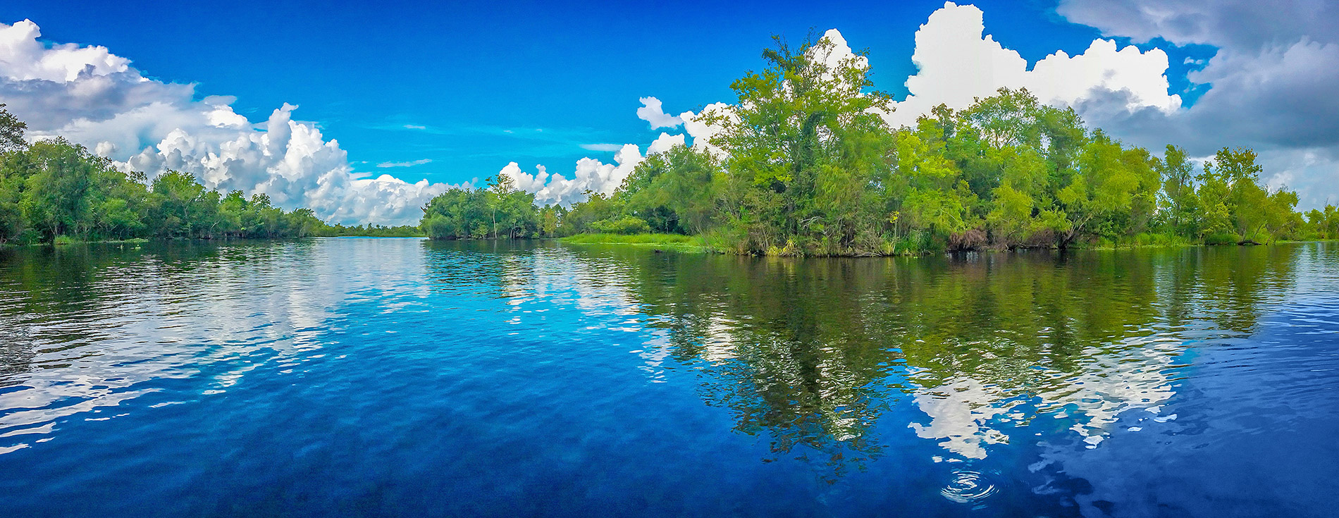 Quelle est la meilleure période pour partir en Louisiane ? - Monde ...