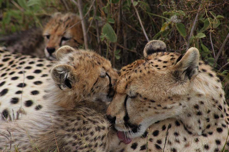 Photos du jours : Edouard en Tanzanie - Monde Authentique