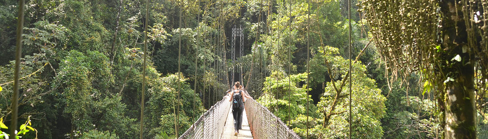 En pleine nature - Monde Authentique