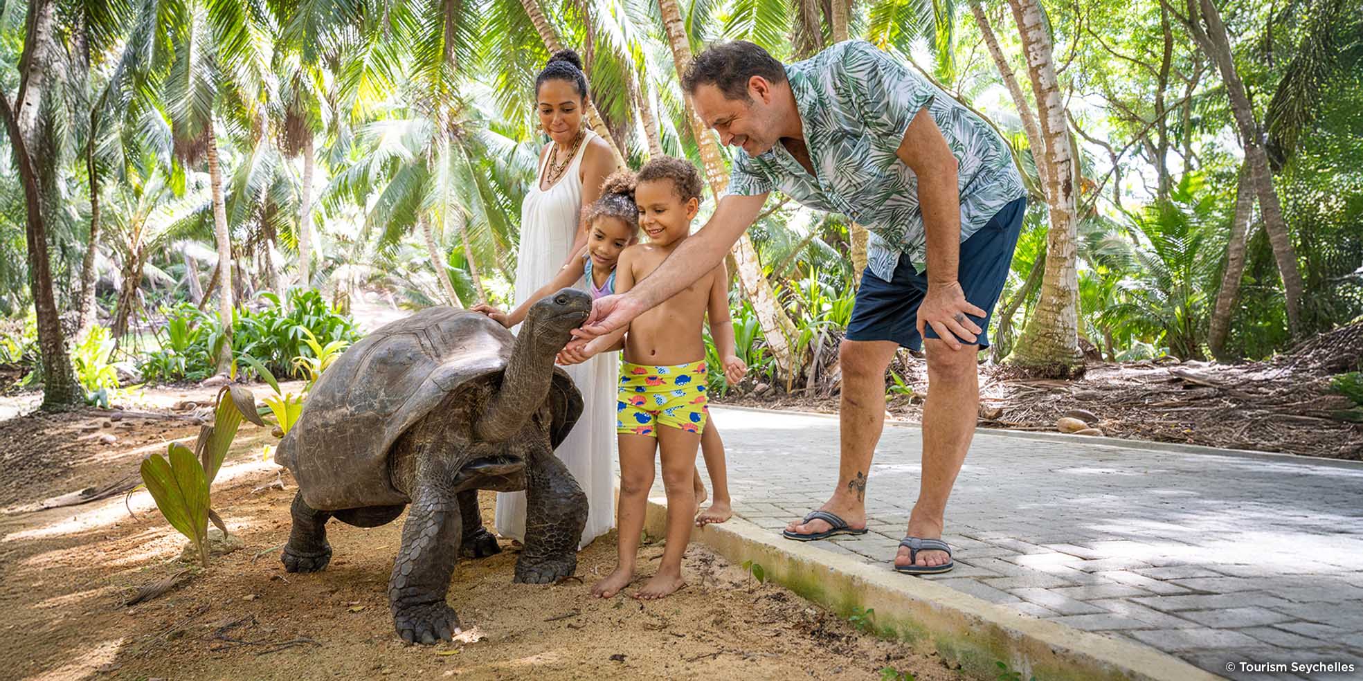 Voyage aux Seychelles en famille – Découvertes authentiques pour tous ...